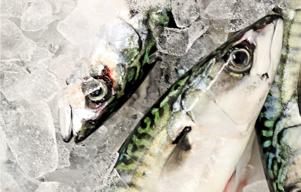 Our Story | Daily Fish Supplies : Daily Fish Supplies